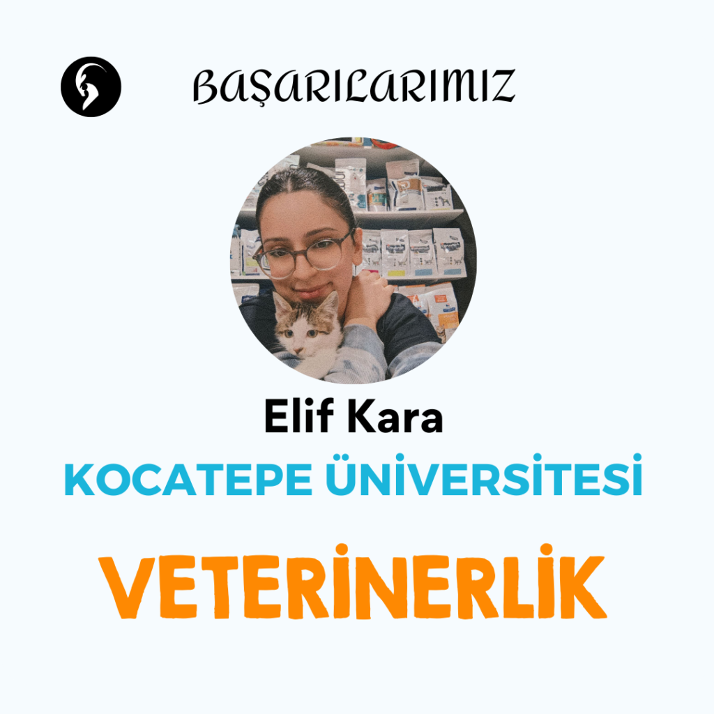 Ana Sayfa > BENİM KOÇUM